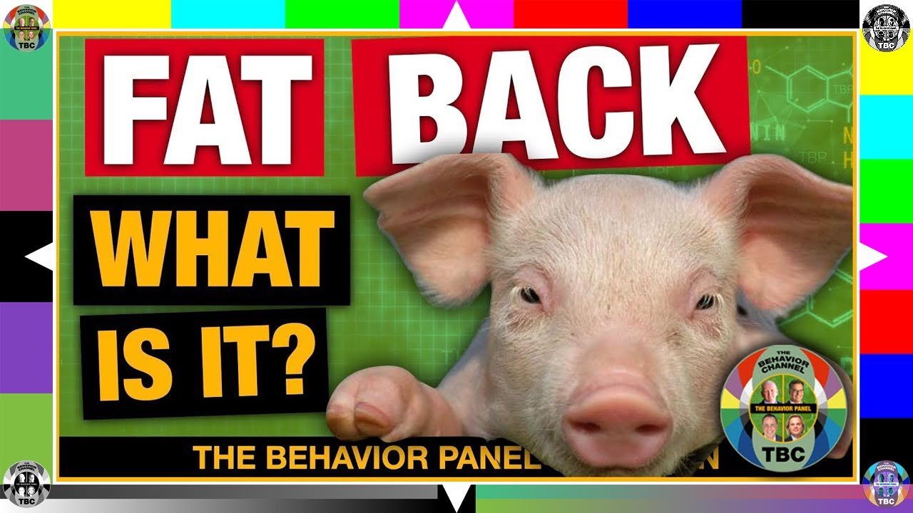 Fatback & High Street: Culture Matters! - YouTube