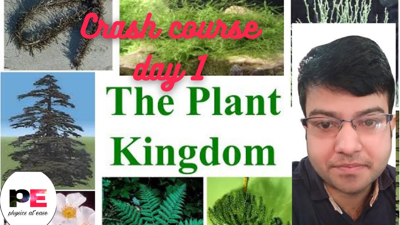 Plant Kingdom || class 11 || Botony || Crash Course || Day 1 || Neet ...