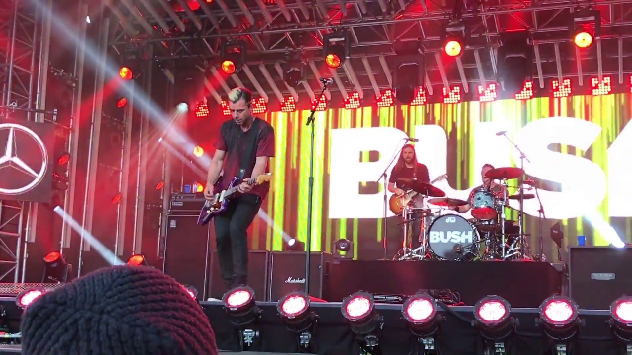 Bush - 2017 (Comedown Live) - YouTube