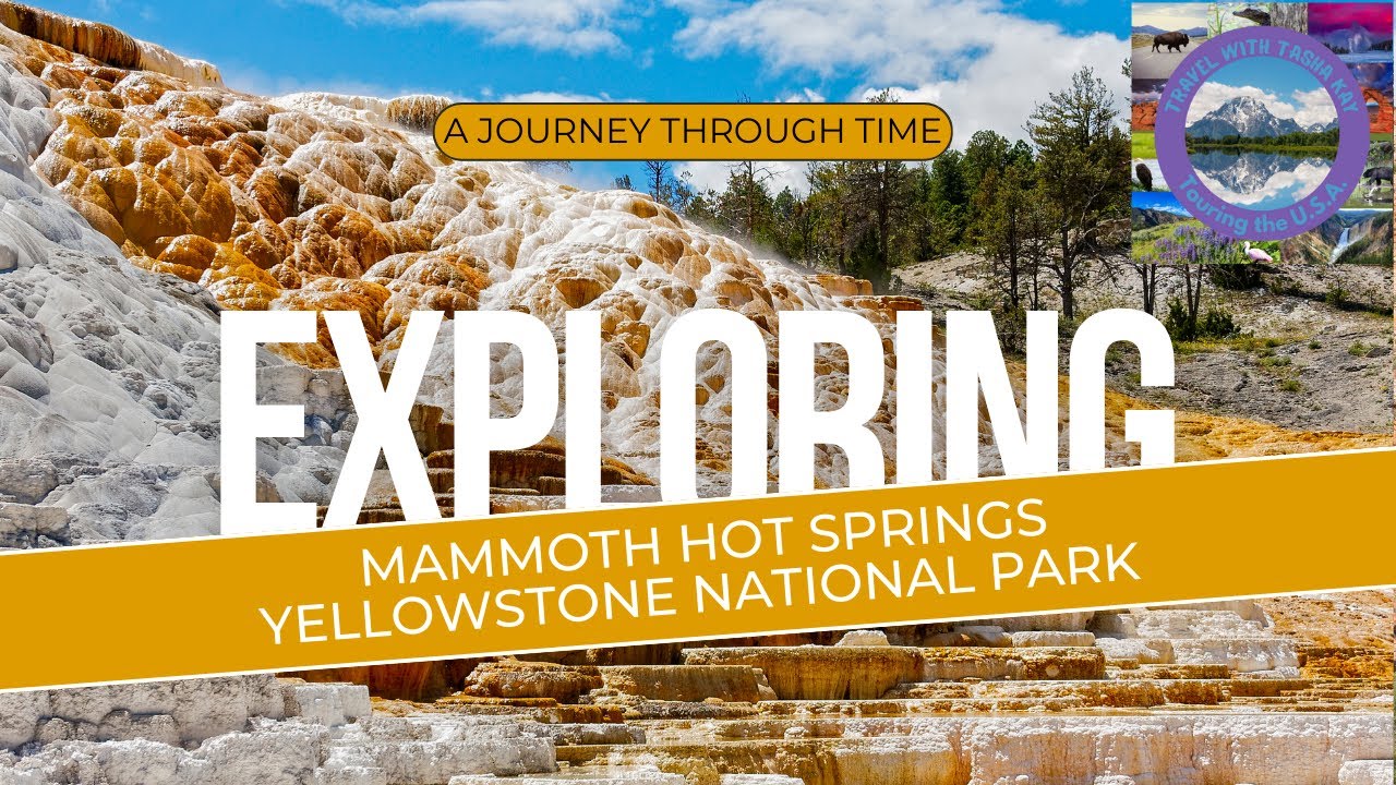 Mammoth Hot Springs: A Journey Through Time in Yellowstone National ...