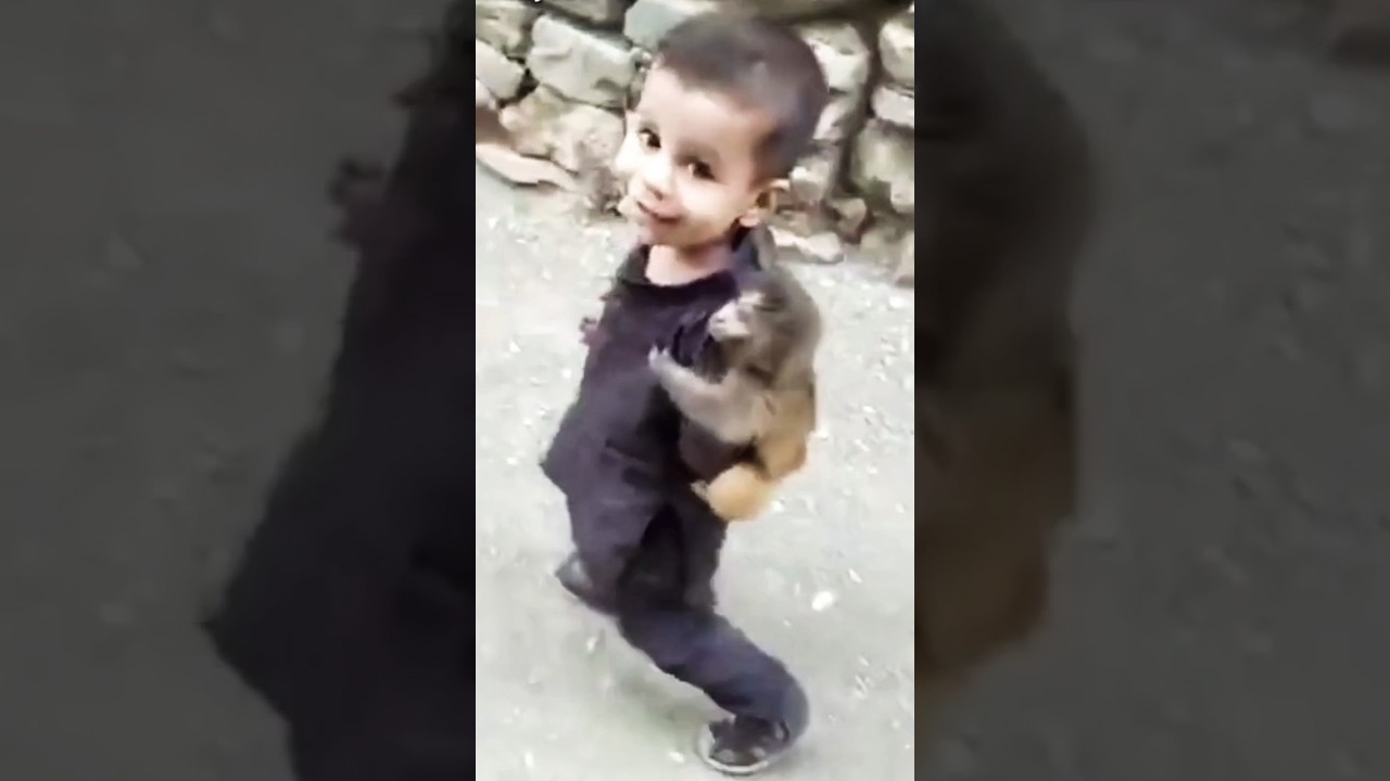 little boy monkey friendship #shortvideo - YouTube