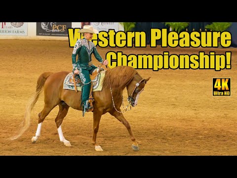 Arabian Horse/HA/AA Western Pleasure Championship at Arabian National Breeder Finals