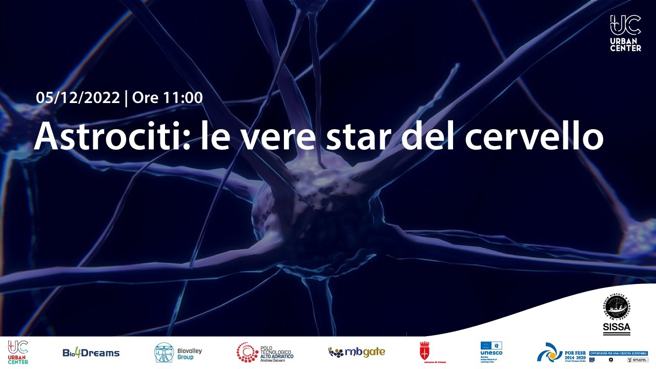 Astrociti: le vere star del cervello - YouTube