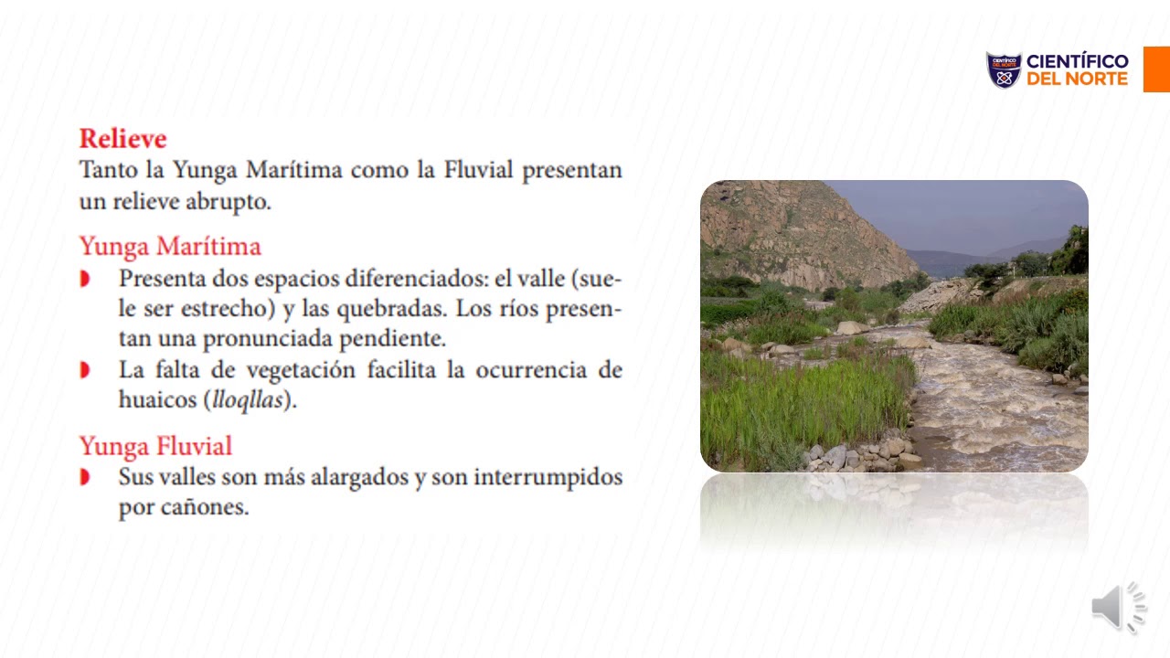 REGION YUNGA II - YouTube