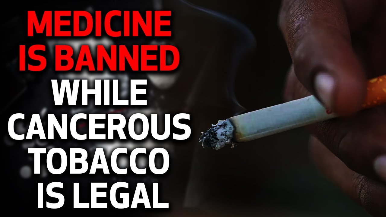 How Big Tobacco ensured that hemp and marijuana become taboos forever ...