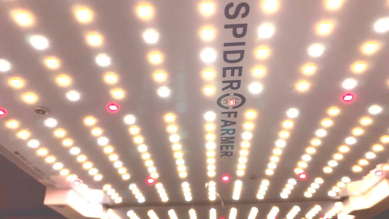 Spider Farmer SF-2000 LED Grow Light Unboxing and Testing (PAR/PPFD ...