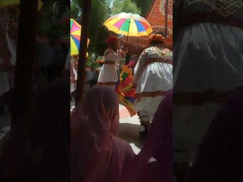 sirvi navuvak ger mandal daylana kallan shorts video #daylana #dance