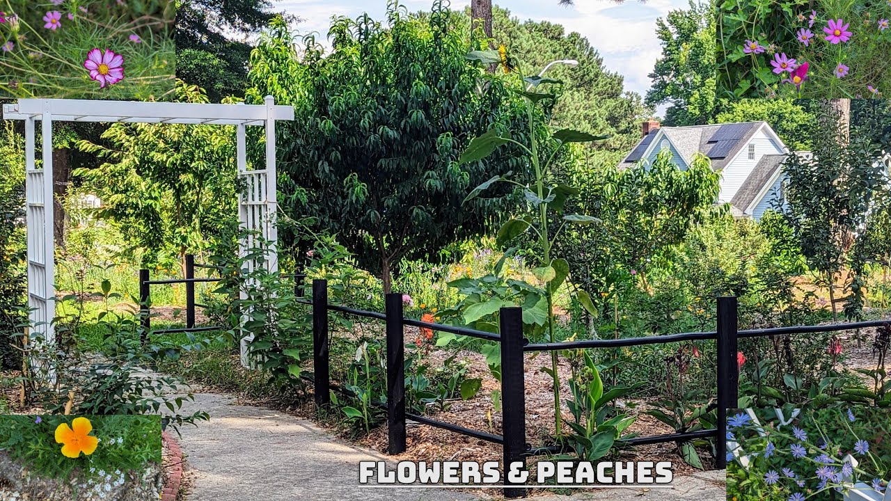 HOA? No Problem! Stunning Front Yard Flower Garden Tour with more than ...