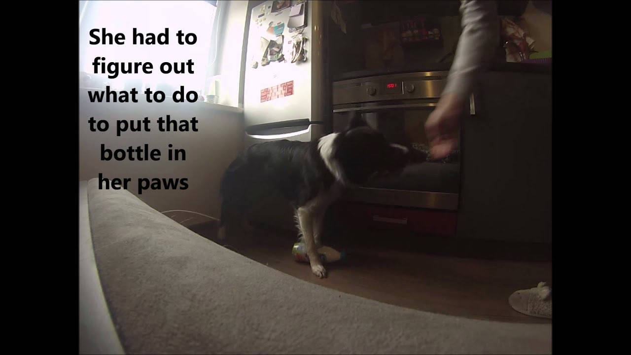 Frog and Hug a Pole Trick - YouTube