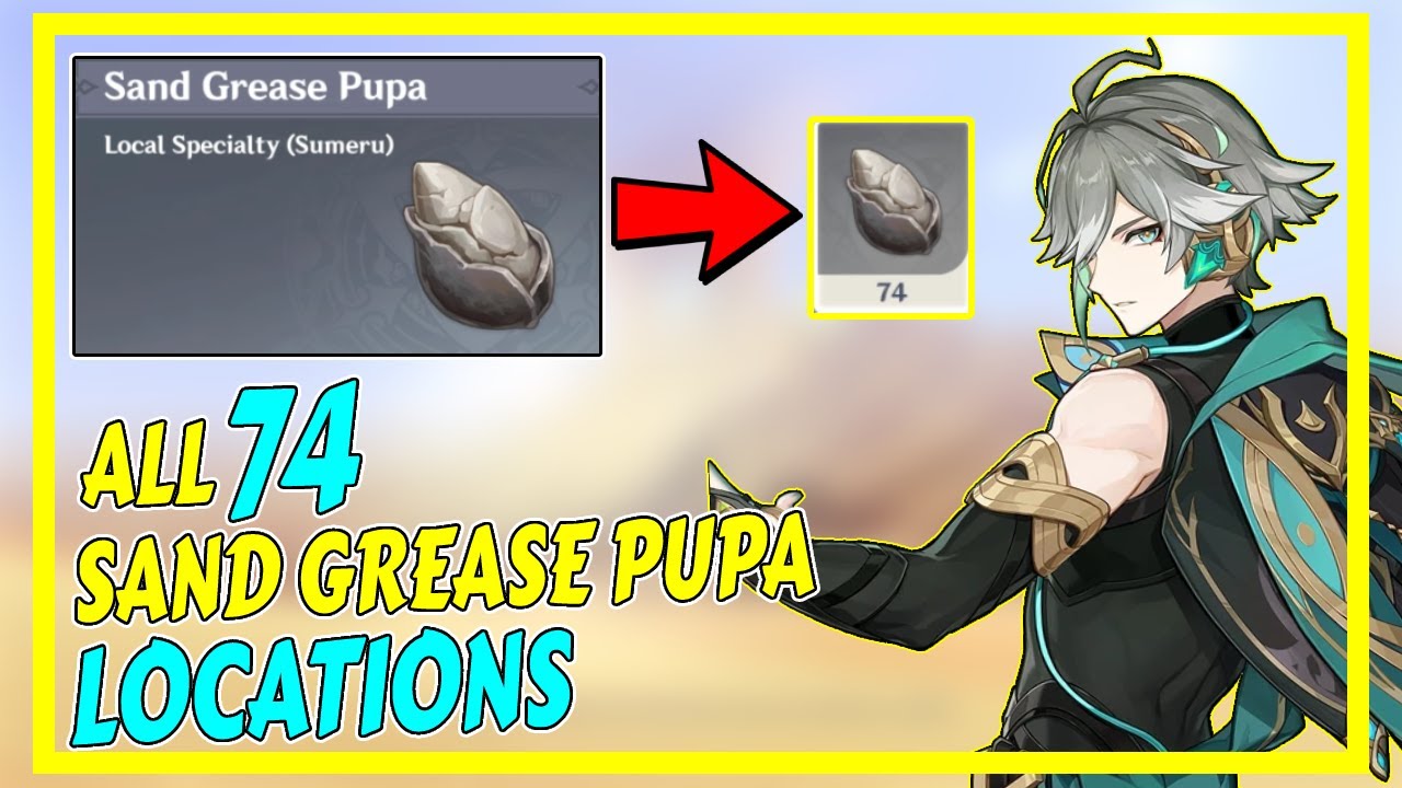 ALL 74 Sand Grease Pupa Locations "Alhaitham Material Farming Route" in ...