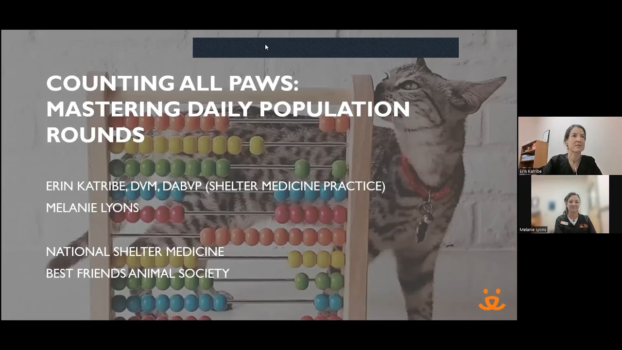 Counting All Paws: Mastering Daily Population Rounds - YouTube