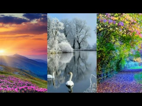 Beautiful top 20 nature pics for DP (Profile pic )
