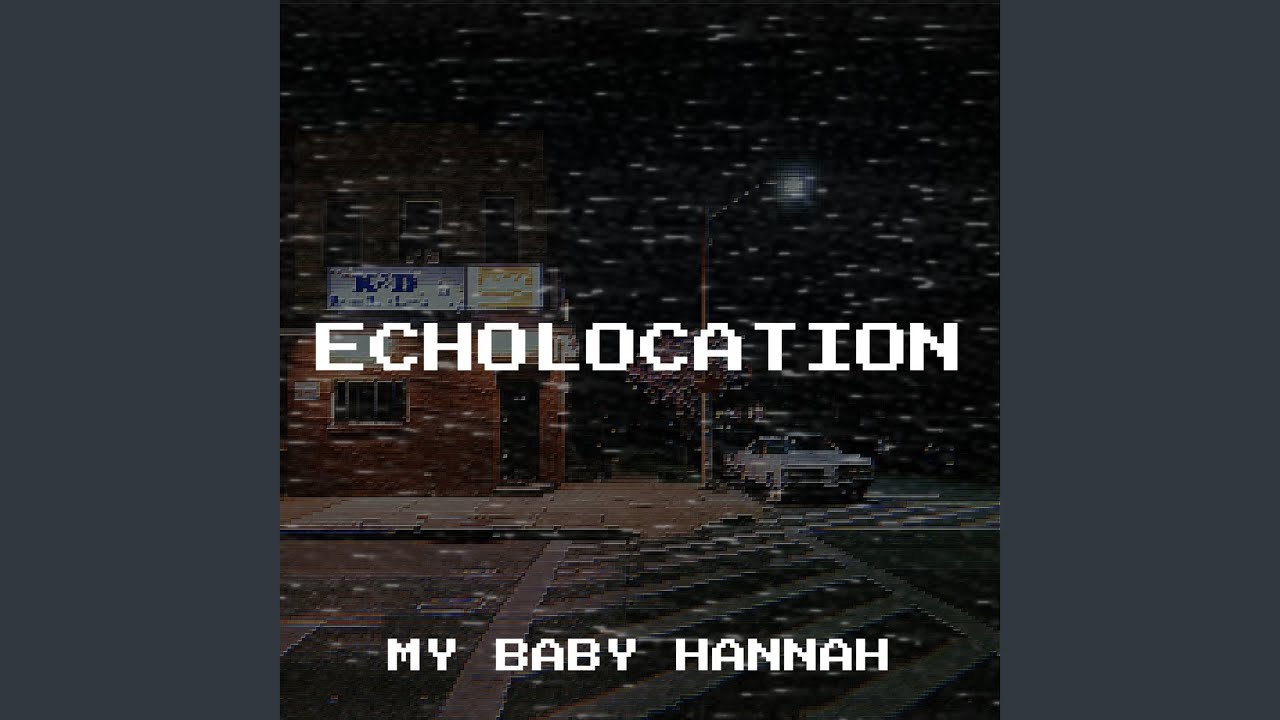 Echolocation - YouTube