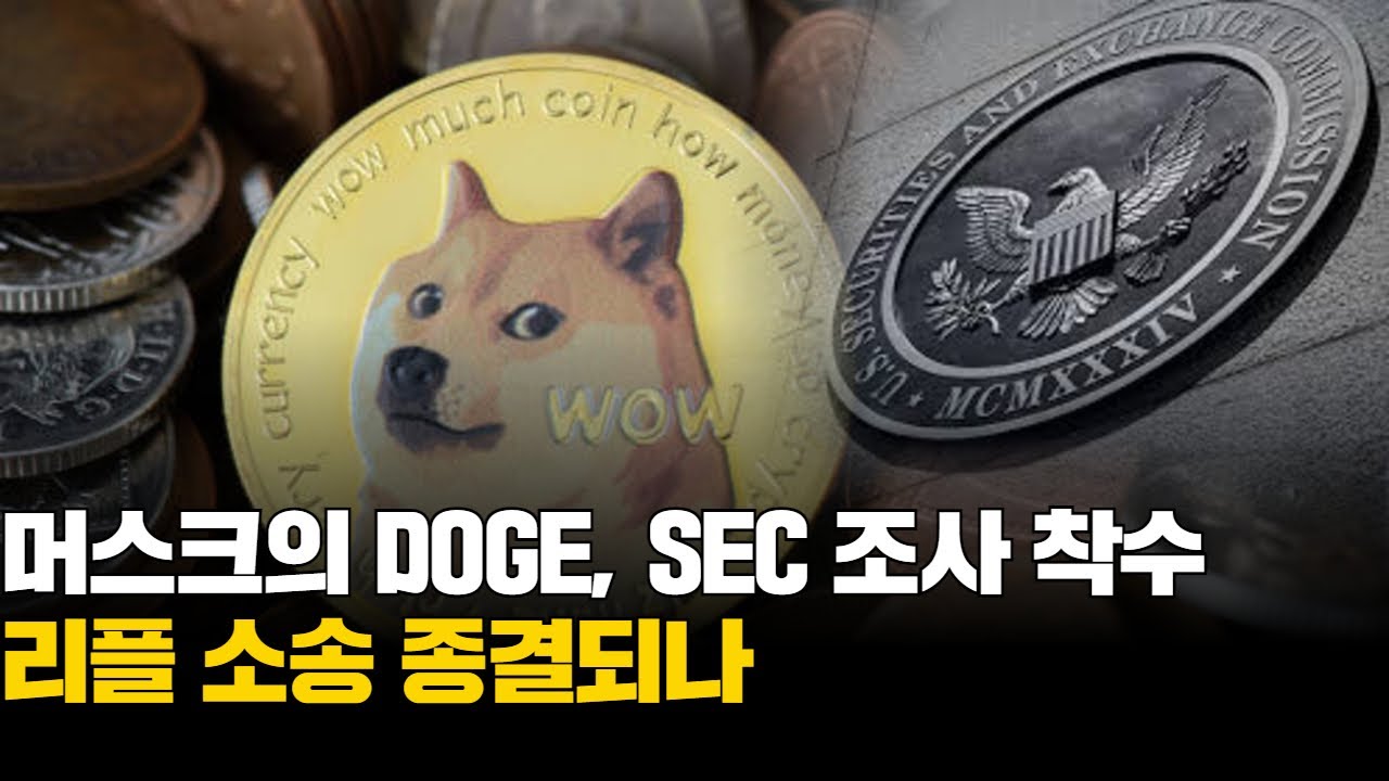 머스크의 DOGE, SEC 조사 착수…리플 소송 종결되나 - YouTube