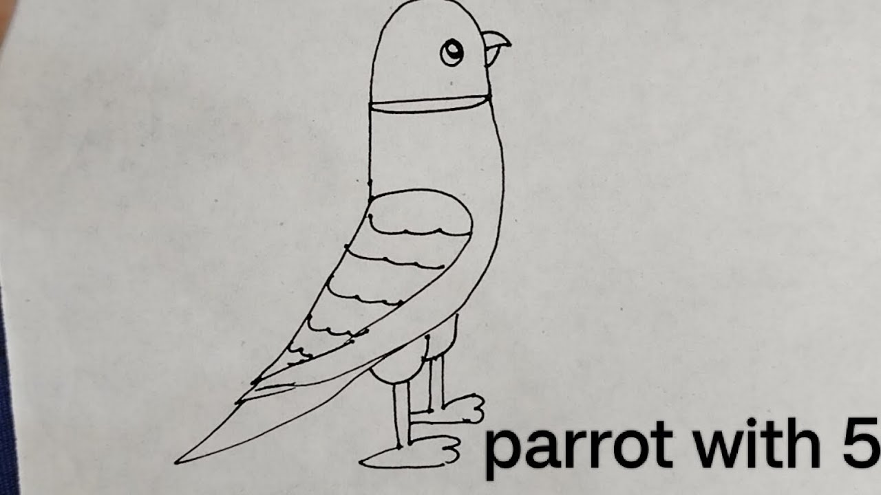 How to draw a parrot with 5 🦜🦜||parrot drawing||very easy||art video ...