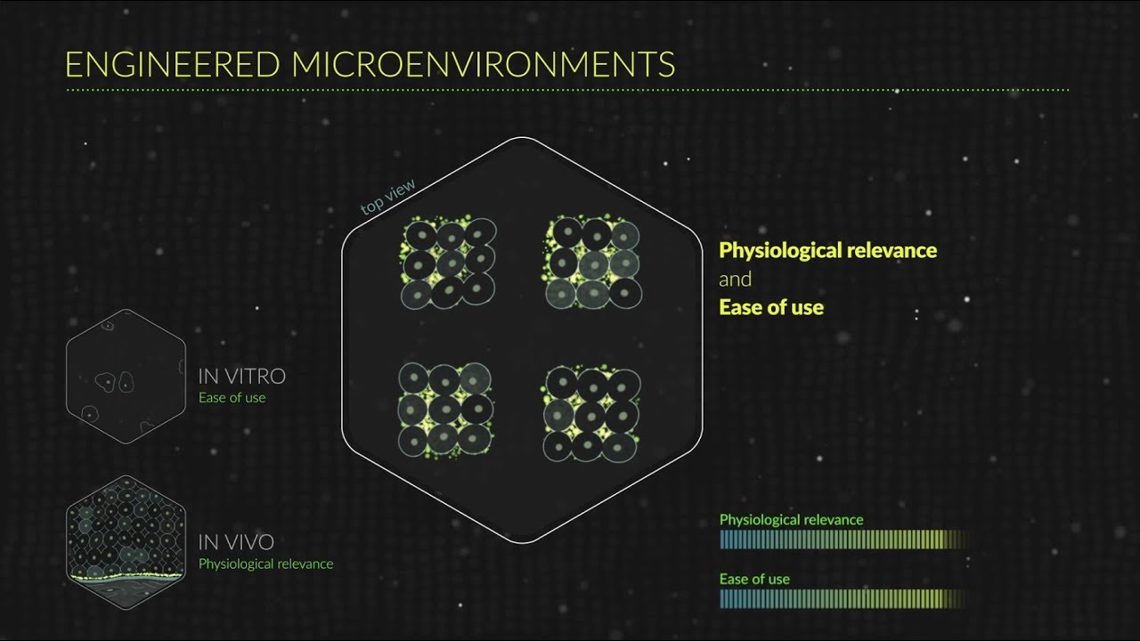 Engineered microenvironments to better study living cells - primo micropatterning - YouTube