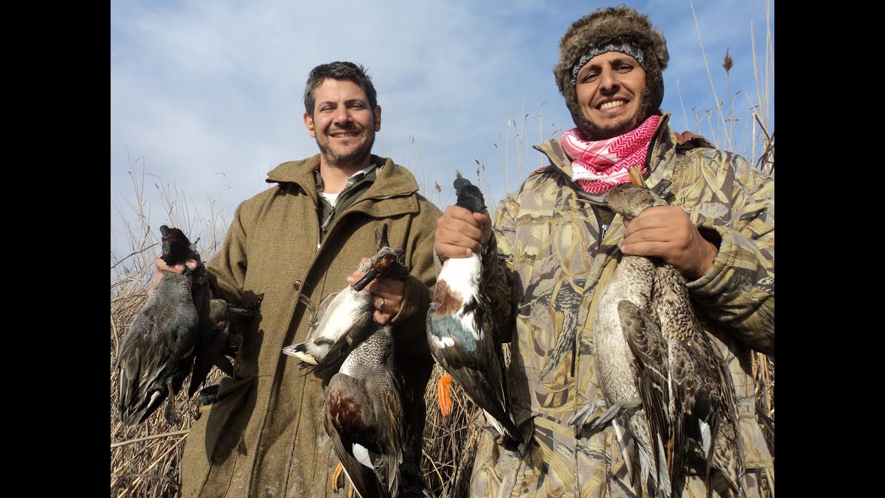 Hunting in Azerbaijan duck hunting Sari su lake www.turhunt.com - YouTube
