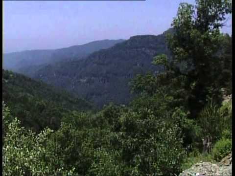 PKK AMANOSLARA YERLEŞTİ !..