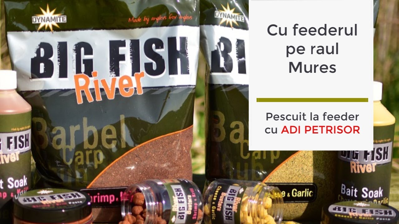 Cu feederul pe raul Mures - YouTube