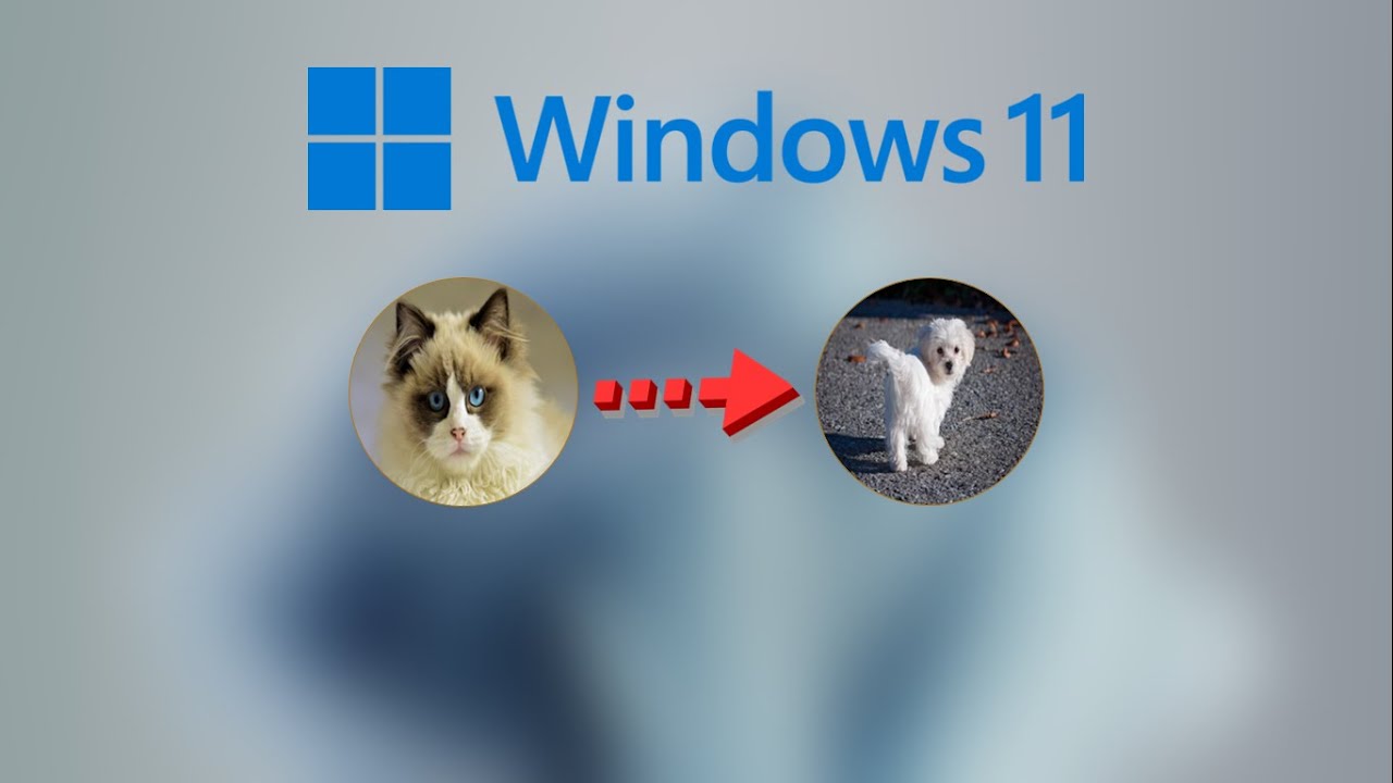 How to Change Account Picture in Windows 11 - YouTube