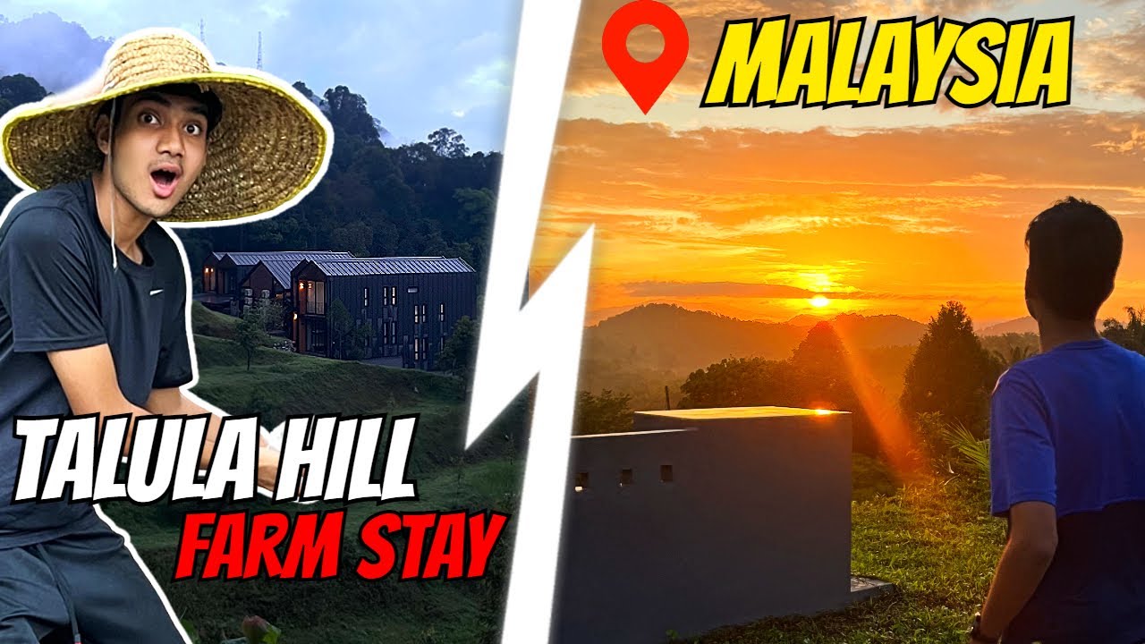 AMAZING HIDDEN GEM!? My Stay at Talula Hill Farm Resort - YouTube