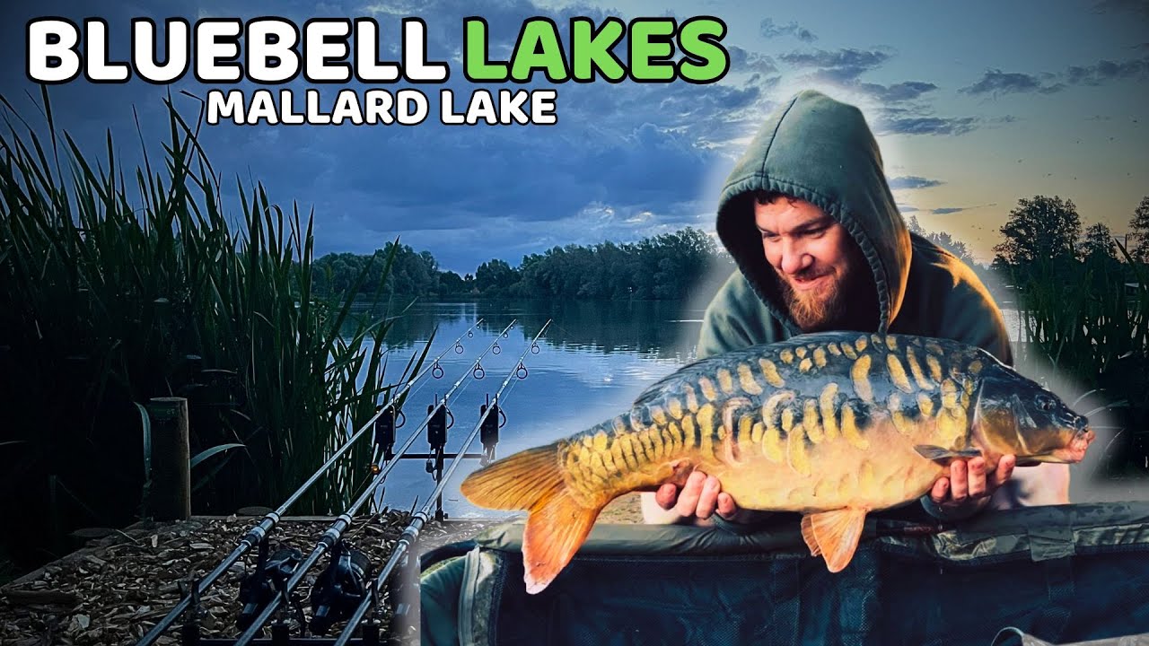 CARP FISHING VLOG AT BLUEBELL LAKES | DayTicket on Mallard lake | ONLY ...