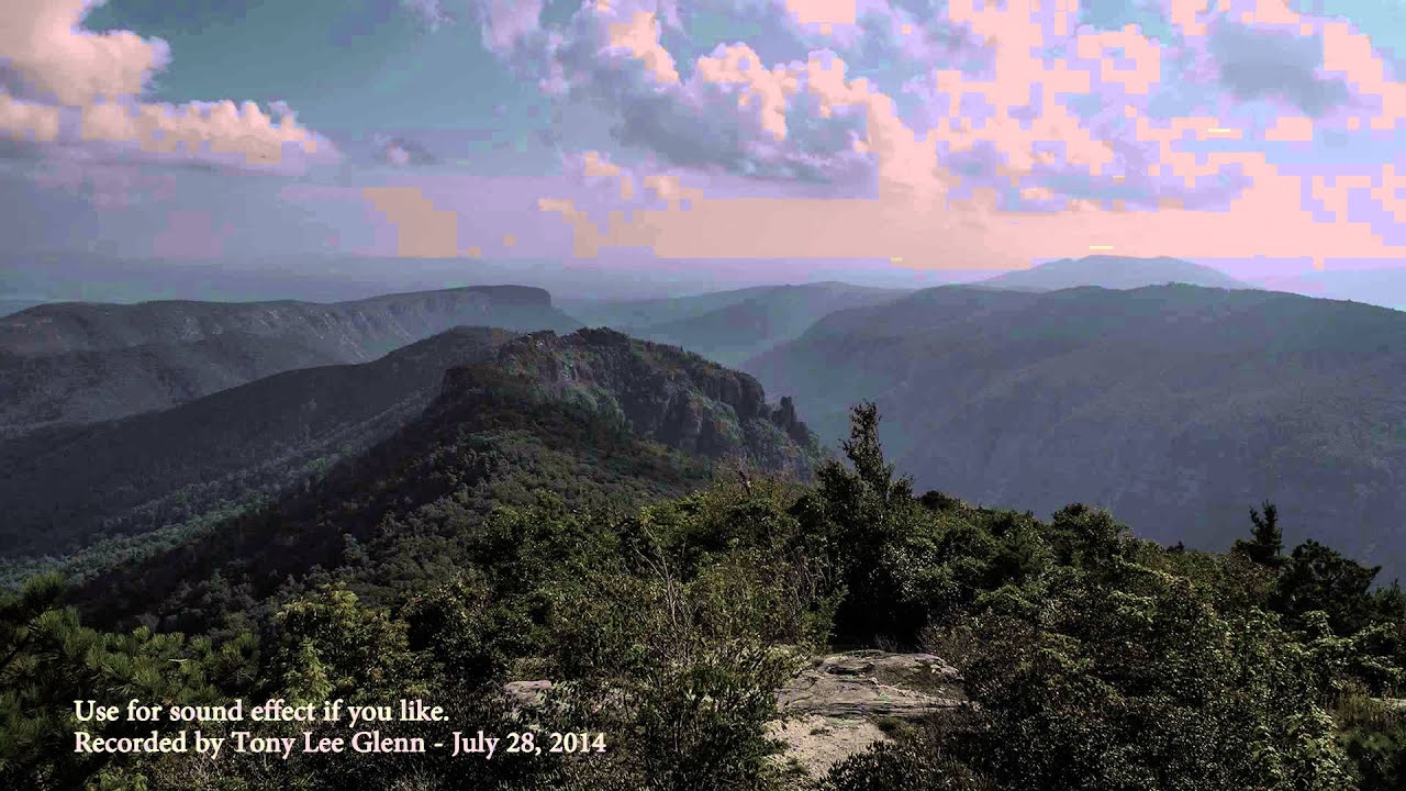 Cool Summer Evening in NC Mountains - Sound Effect - YouTube