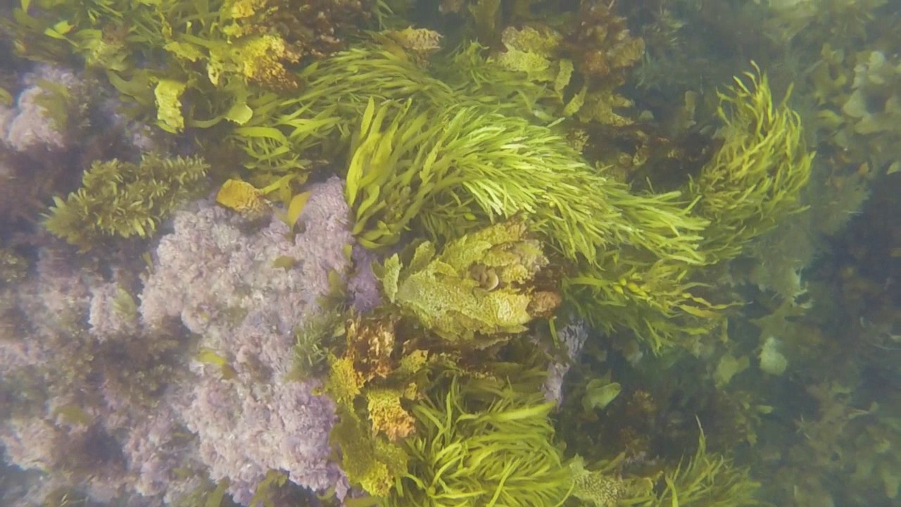 first spearing video - YouTube