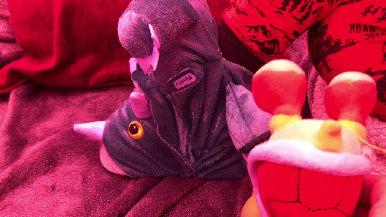 Sml Camping - YouTube