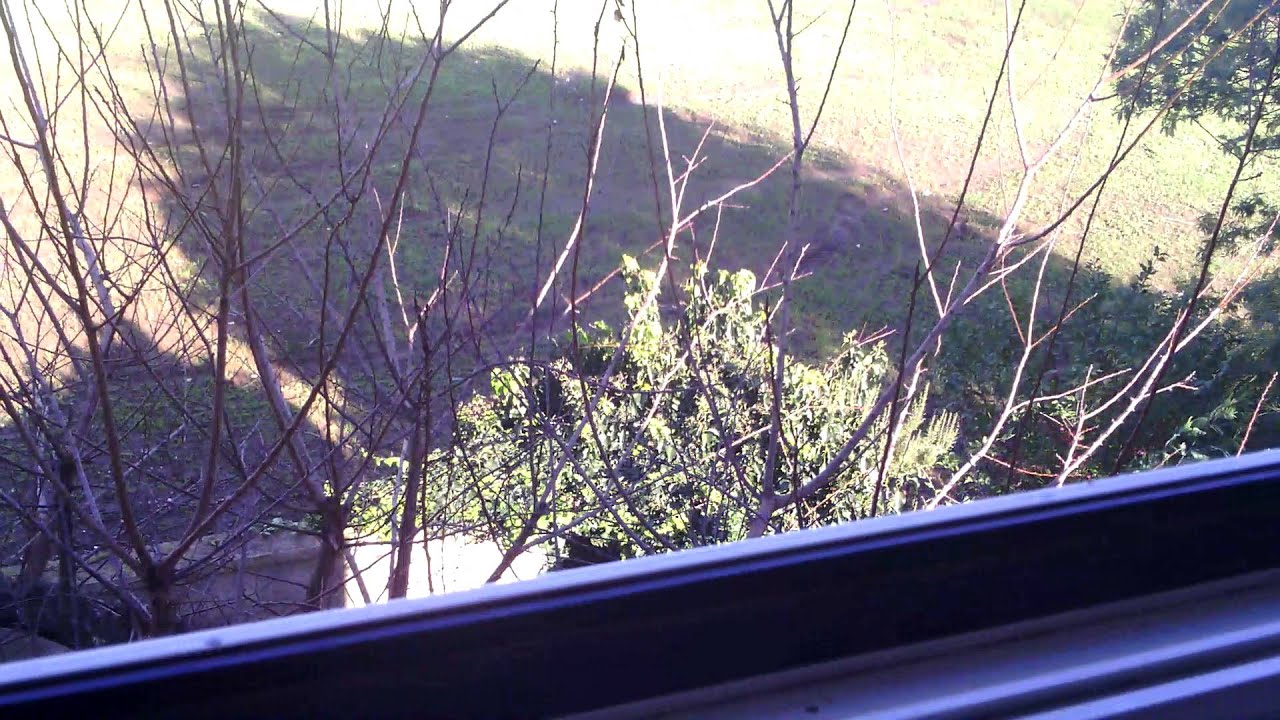 Esplosione minicicciolo con miccia - YouTube