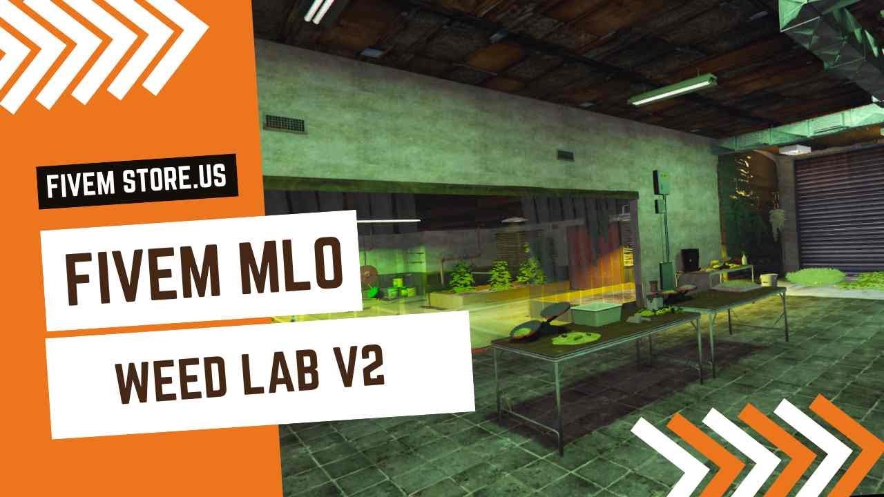 FiveM Weed Lab #fivem #lab - YouTube