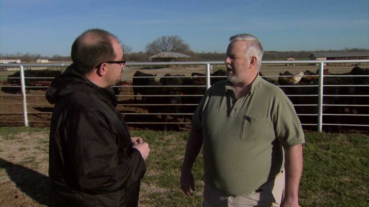 Livestock Marketing with Derrell Peel - YouTube