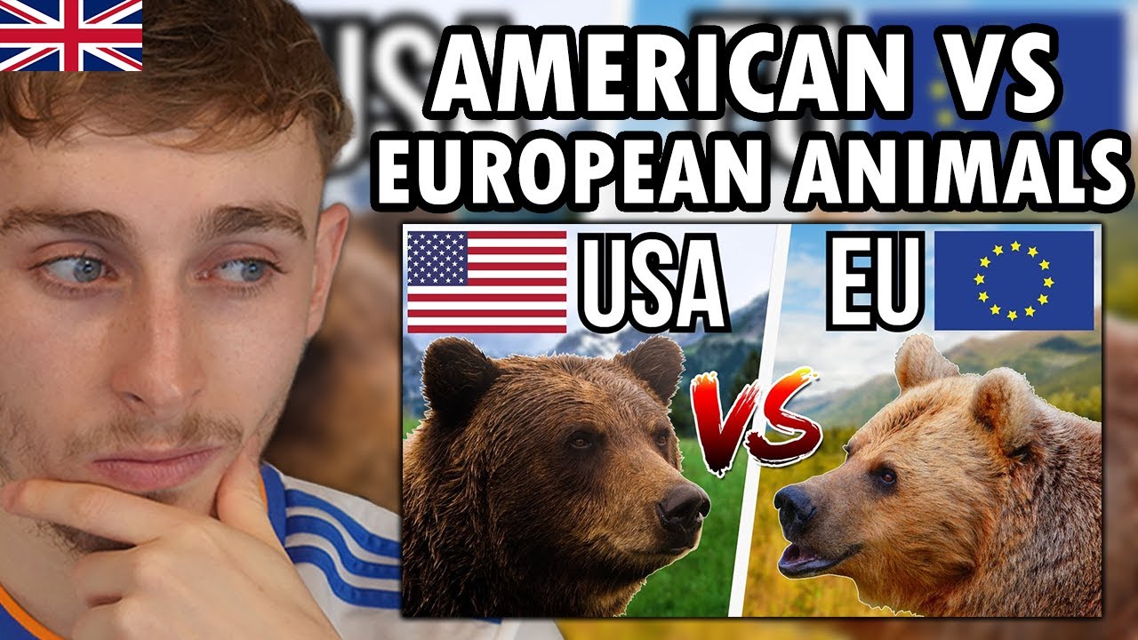 Brit Reacting to 5 American Animals VS 5 European Animals - Who Would ...