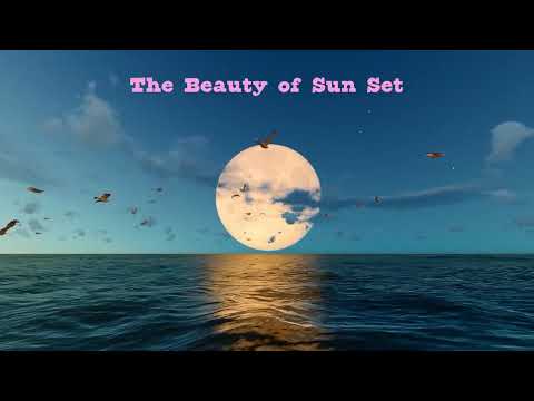 The Beauty of Sun Set!  #shorts #trending #funny  #youtubeshorts #short #love #ytshorts #youtube