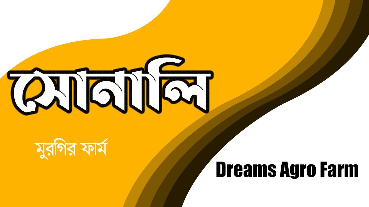 সোনালি মুরগির ফার্ম | #dreams_agro_farm |#youtube - YouTube