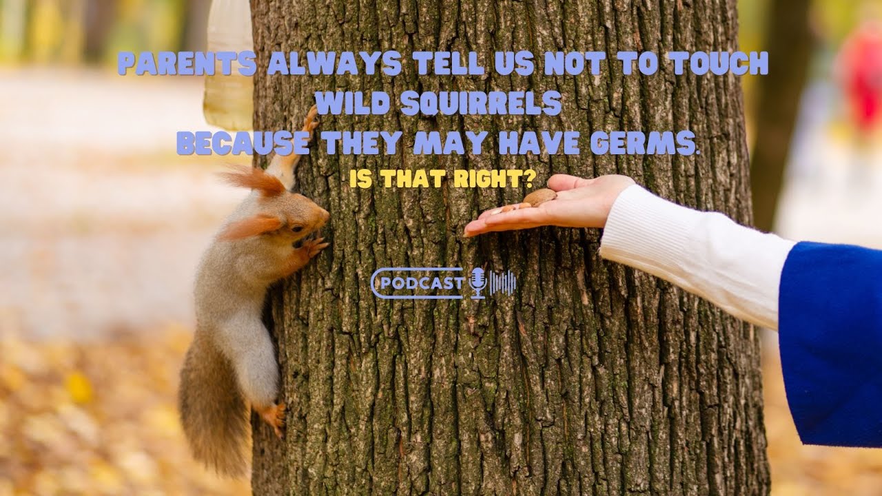 🐿️Parents always tell us not to touch wild squirrels because they may ...