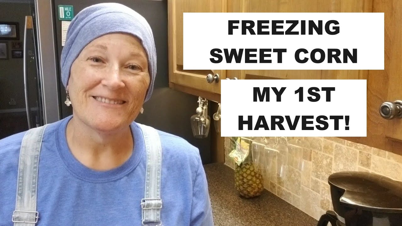 First Sweet Corn Harvest--lets freeze this up! But will the recipe ...