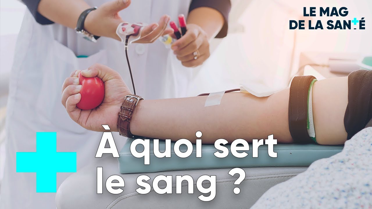 Tout savoir sur le sang (en 381 secondes) - Le Magazine de la Santé ...