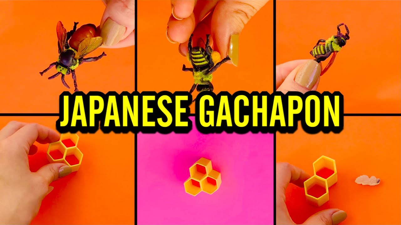JAPAN'S GACHAPON | Honeybee Figurines | Beehive , Larva , Pupa ,Drone ...