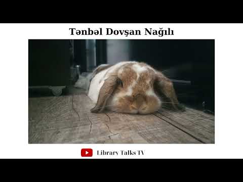 Tənbəl Dovşan Nağılı