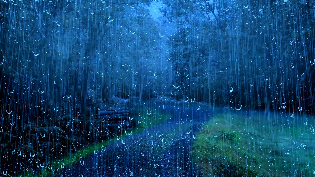 Deep Sleep Instantly with Heavy Rain in the Foggy Forest at Night ...