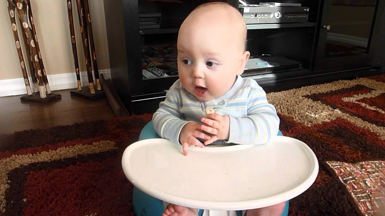 Jett eats Puffins! - YouTube