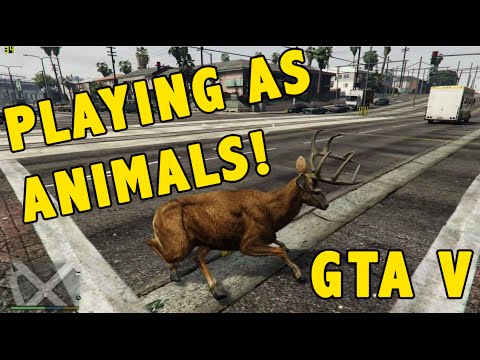 GTA 5 - PLAYING AS ANIMALS!! - YouTube