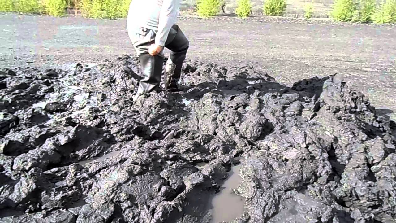 Century 4000 waders taking a shortcut ! - YouTube