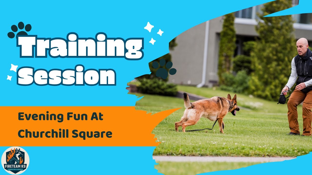 Mini Training Session At Churchill Square in Edmonton - YouTube