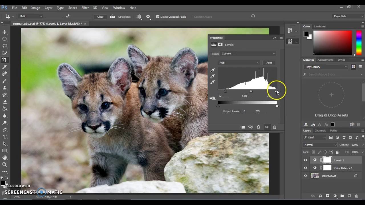 Photoshop Tutorial: Adjustment Layers - YouTube