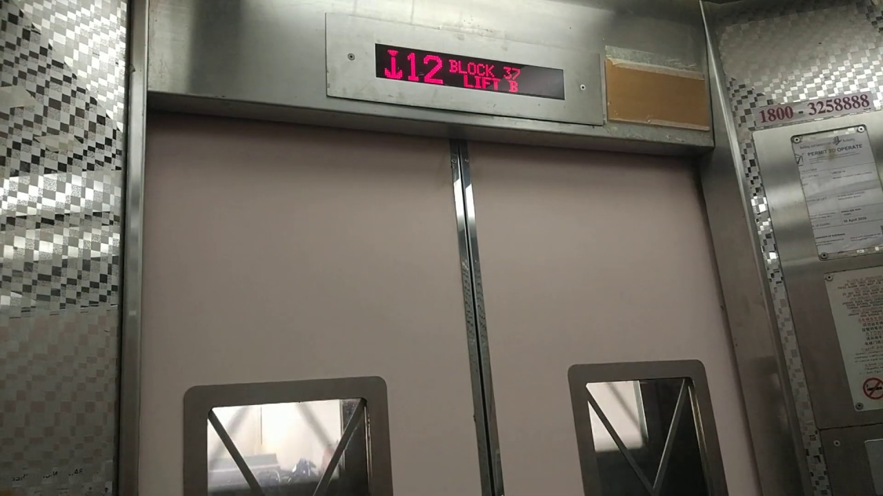 Block 37 Chai Chee Otis Elevator Lift B - YouTube