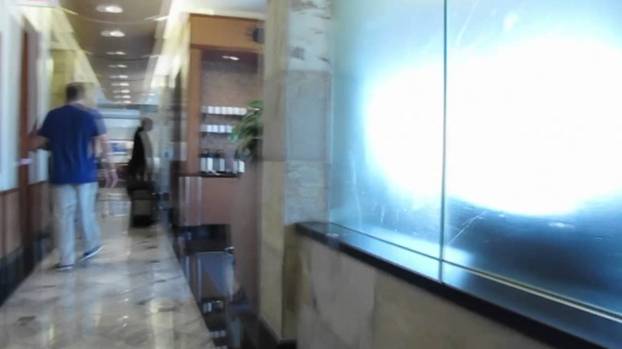 Delta Airlines Crown Room in Detroit Metro International Airport - YouTube