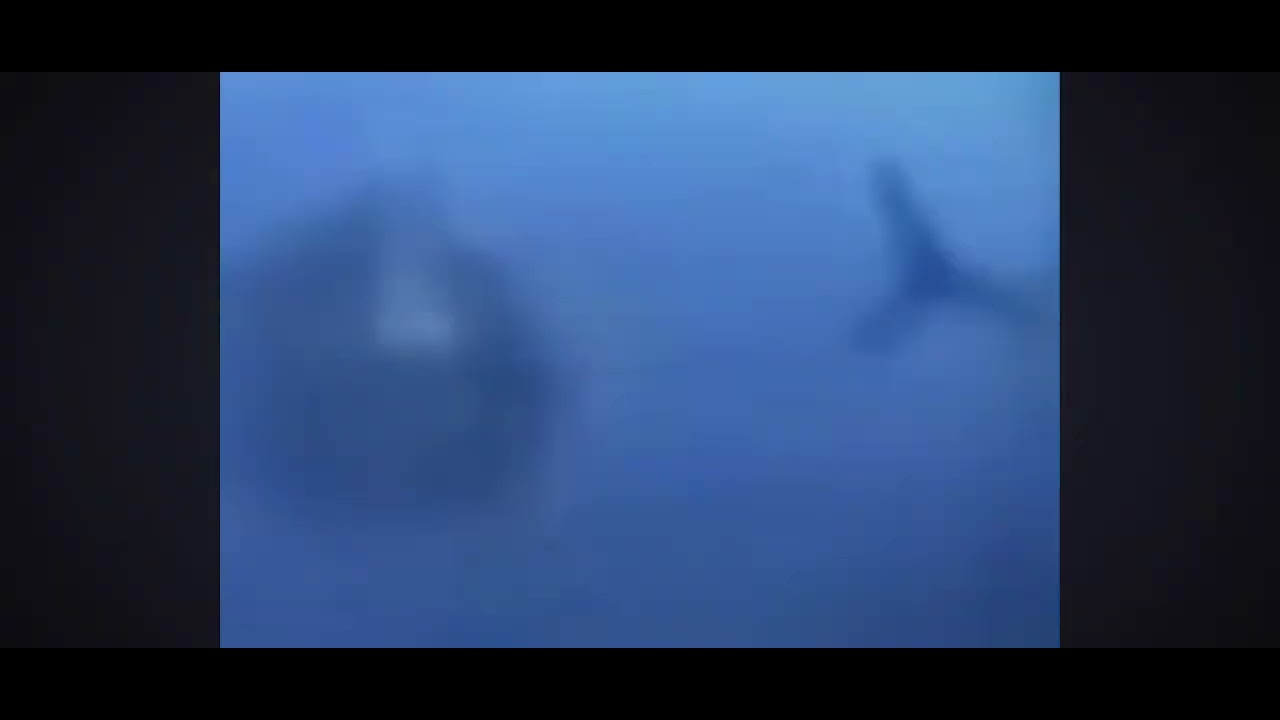 ALLIA THA SPRUNKI CANDY FOX 217 IRL - YouTube