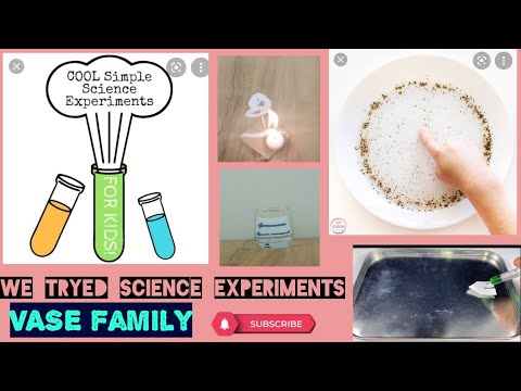 We tried viral science experiments||Pass or Fail??||VASE family - YouTube